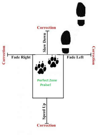 Heeling Chart – DogTraining.World