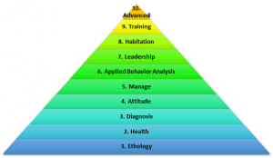 Become a Member Today – DogTraining.World