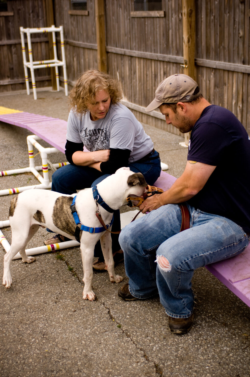 DogTraining.World – Education and Support for Professional Dog Trainers.