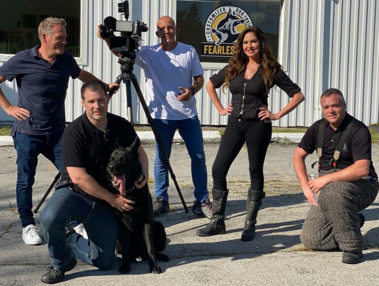 DogTraining.World – Education and Support for Professional Dog Trainers.