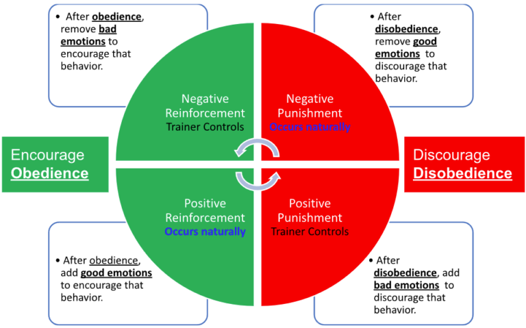 Operant Conditioning – A Deeper Dive as it Applies to Welfare ...