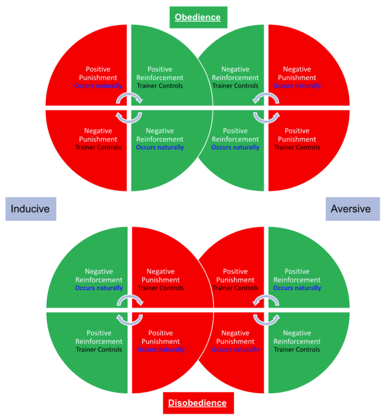 Operant Conditioning – A Deeper Dive as it Applies to Welfare ...
